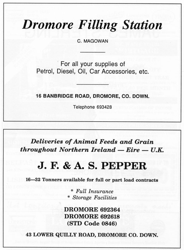 Dromore Historical Journal | Lisburn.com